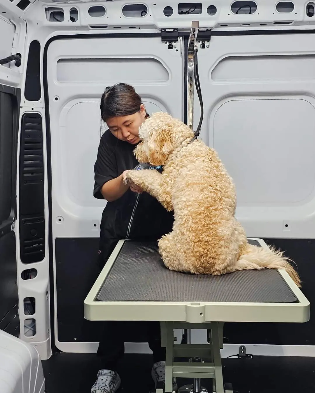 Why Mobile Nail Trim is Best for Nervous Pets | Pet Evolution