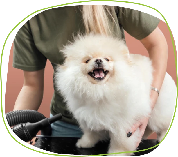 Shampooch Dog Bathing Services for Pets | Pet Evolution