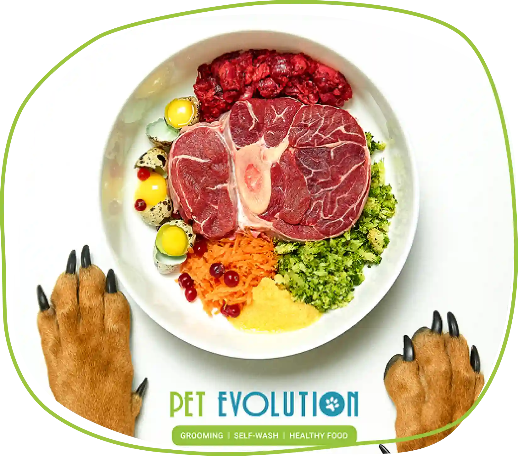 Healthy Raw Pet Food in McKinney, TX | Pet Evolution