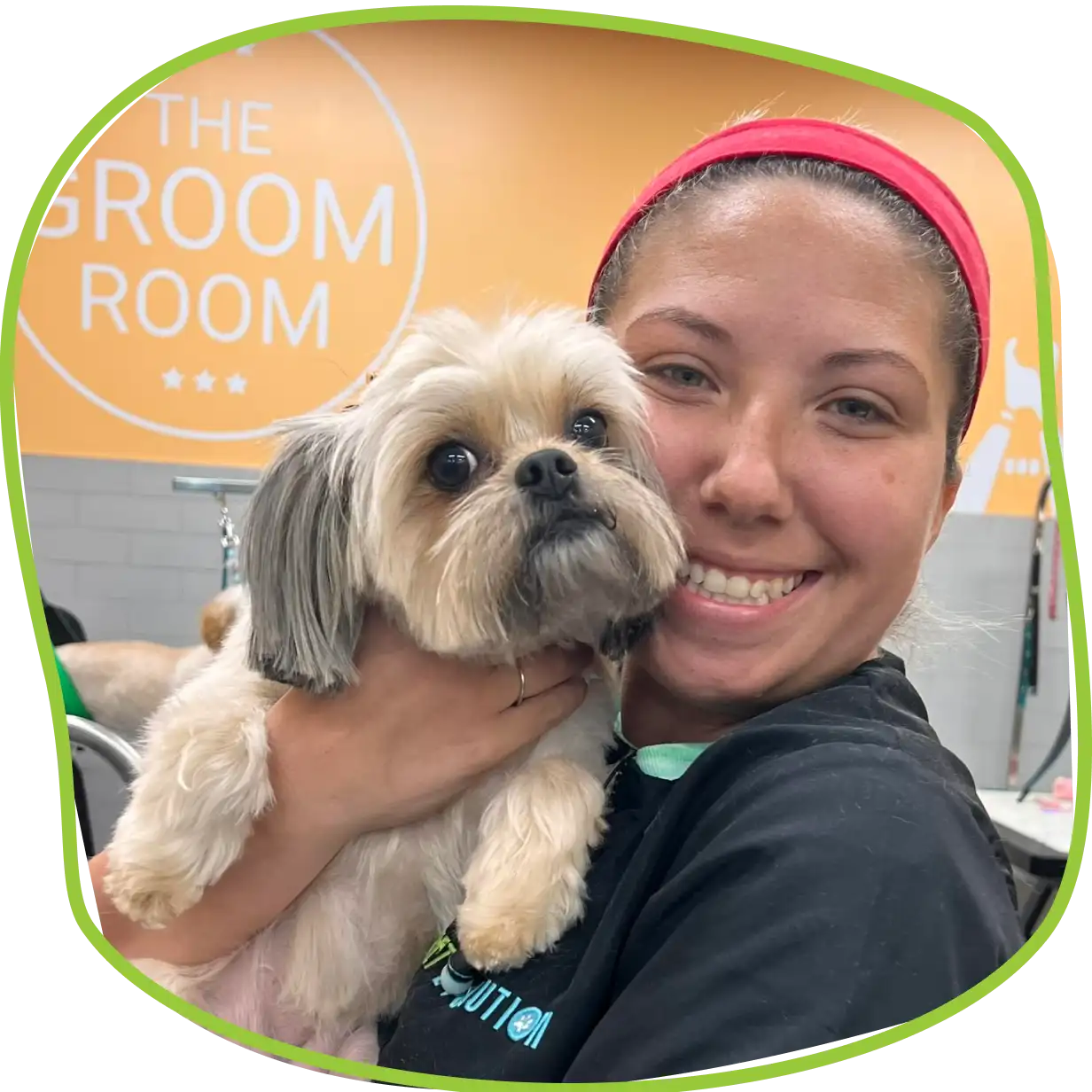 Walk-In Pet Grooming Services in Katy | Pet Evolution