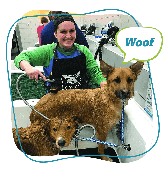 Dog Wash Stations & Pet Grooming in Fairfax | Pet Evolution Fairfax