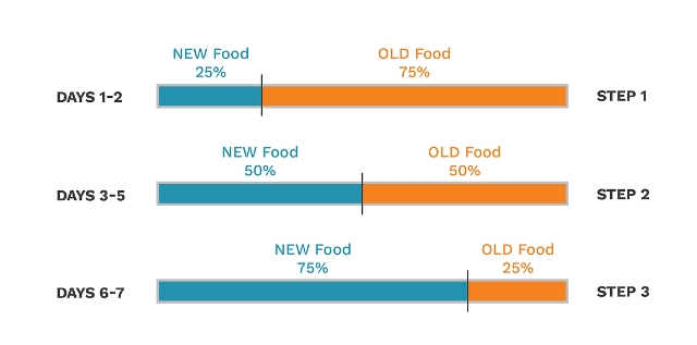 Pet Food Services in Fairfax, VA | Pet Evolution