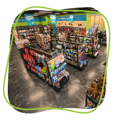 Dog Wash Stations & Pet Grooming in Blaine | Pet Evolution Blaine